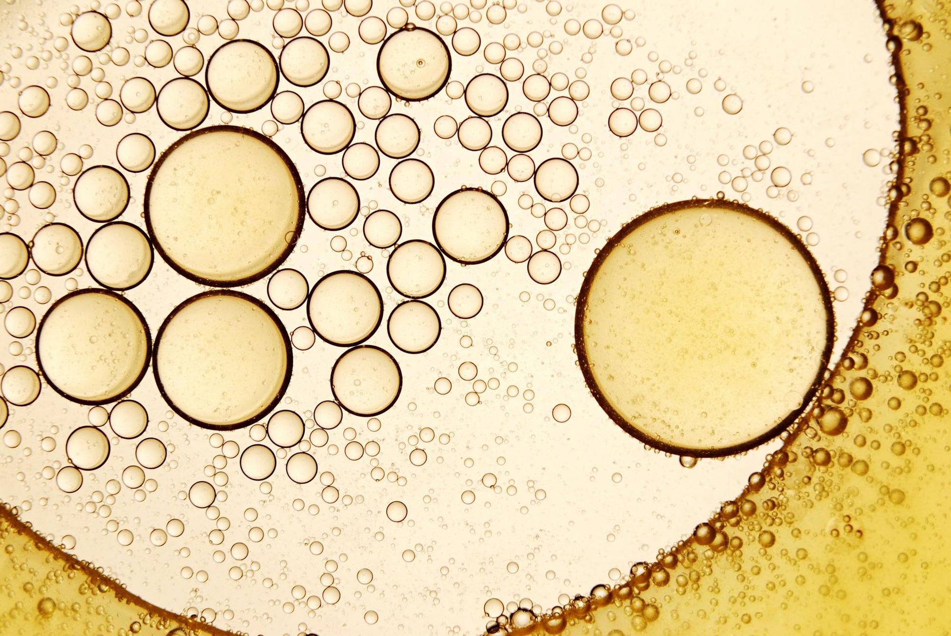 What Is Skin Flora? Your Guide to a Balanced, Glowing Complexion | Skin ...