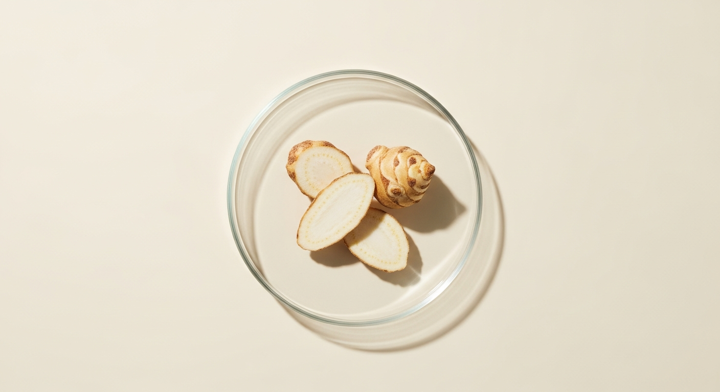 Prebiotic Sugars | Skin Care Ingredient Dictionary | Nuebiome