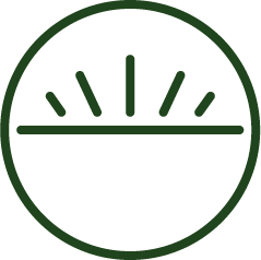 Amaretto and Biotic Hand Remedy – Nuebiome